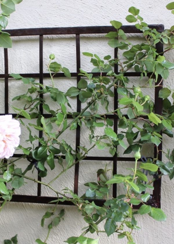 Iron Garden Trellis Square. $95 - Iron Rooster